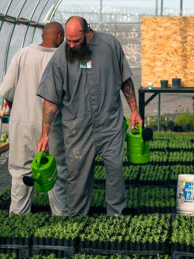 Prison profiteering exploits whole communities, not just the ...
