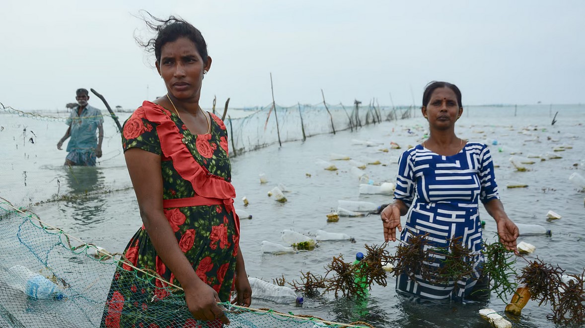 النساء في شمال سريلانكا يتحملن وطأة الحرارة | Progressive International