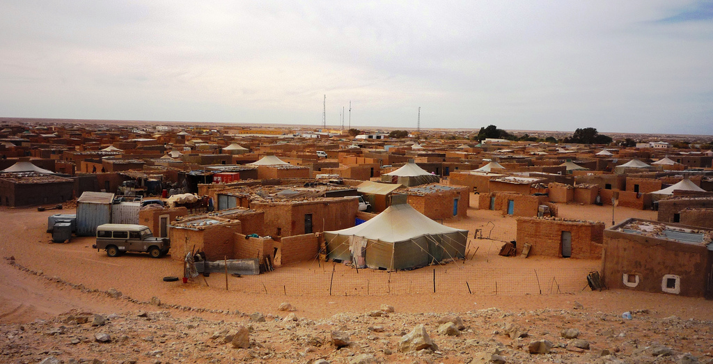 Die Polisario-Front der Westsahara an die Progressive Internationale ...