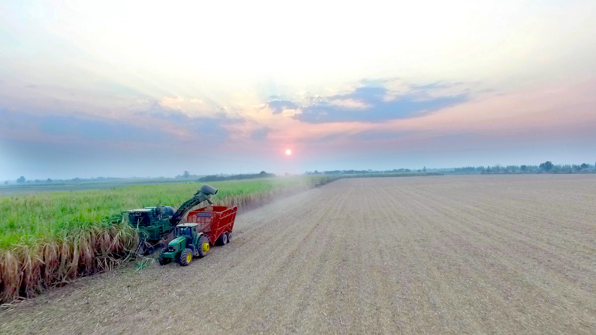 Food corporations paid shareholders $53.5bn while millions went hungry ...