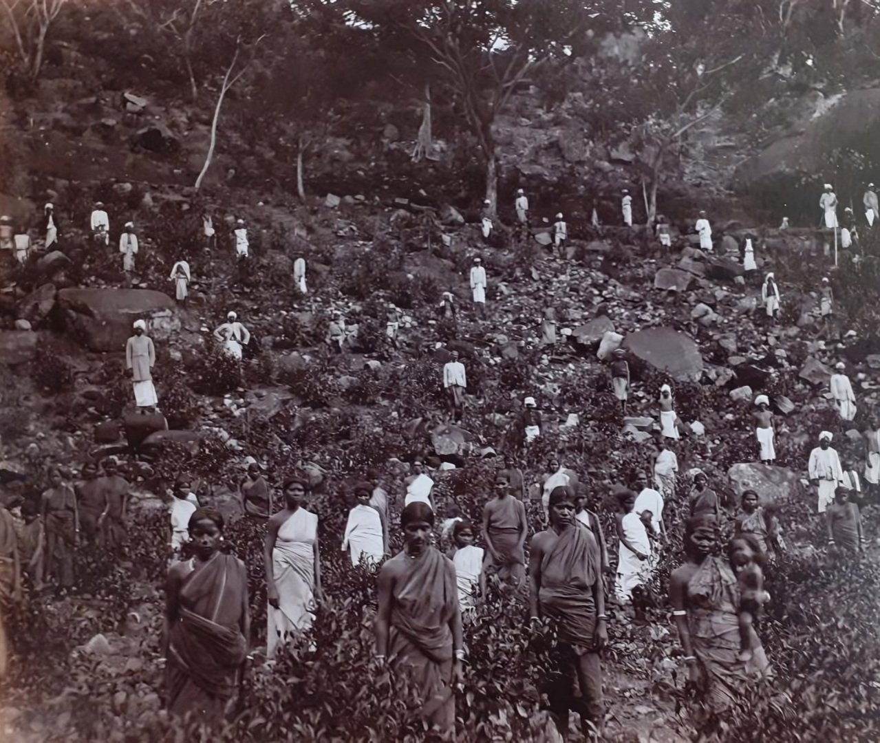 200 Years of Malaiyaha Tamil Labour in Sri Lanka | Progressive International